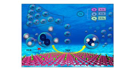 Single Atom Metal Anchored Penta Graphene For Highly Efficient And Selective Electroreduction Of