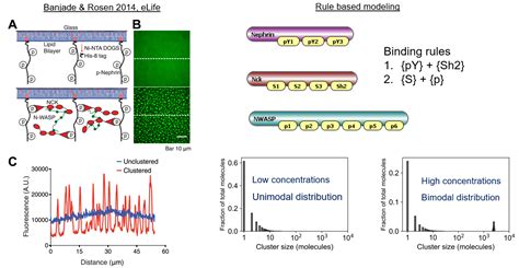 Biophysical Motivation Molclustpy Documentation