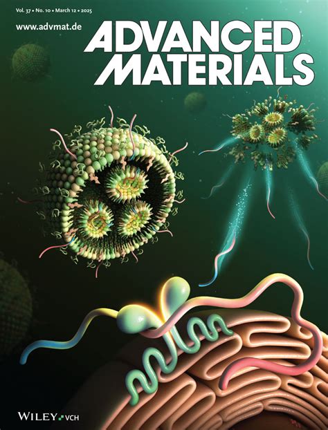 Zinc Single‐atom Catalysts Encapsulated In Hierarchical Porous Bio
