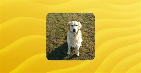 Sex Chat Hub Guilded