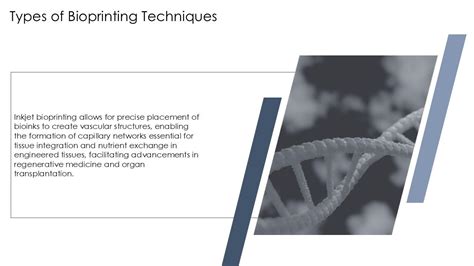 Bioprinting Vasculature Methods PPT Template ACP PPT Presentation