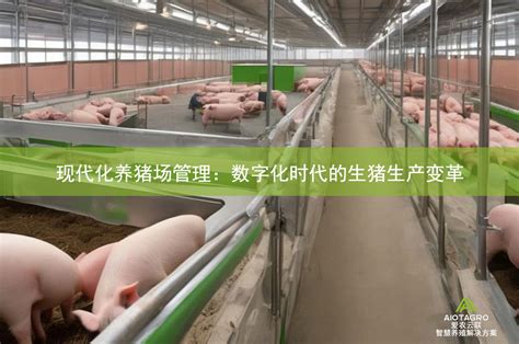 现代化养猪场管理：数字化时代的生猪生产变革aiotagro 爱农云联 致力于高效、安全的食品生产