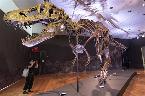 Jurassic Dinosaur Fossils At Janice Bottorff Blog