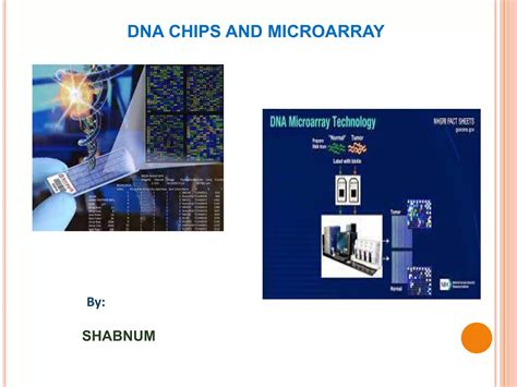 Dna Chips And Microarraypptx