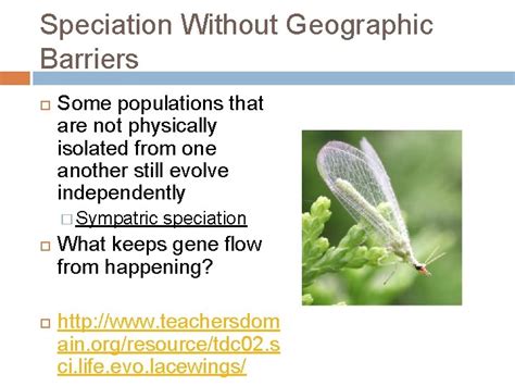 Evolution And Diversity Speciation Evolution Leads To New