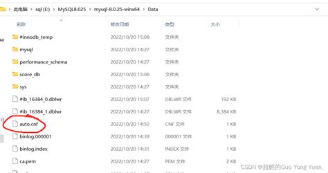 Windowsmysql主从复制详细操作步骤windows Mysql主从复制 Csdn博客