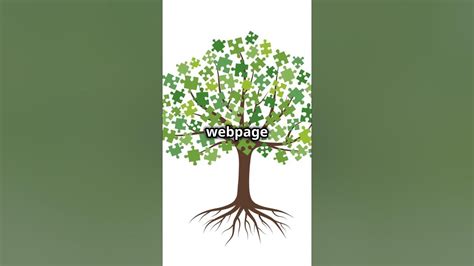 Javascript Interview Questions Commonly Asked At Companies Like Microsoft Microsoft Youtube