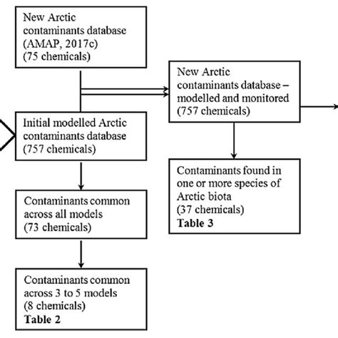 Flow Diagram Describing Secondary Data Analysis Process Five Modelling