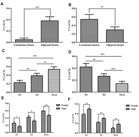 Bioinformatics Profiling Integrating A Four Immune Related Long Non