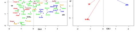 plot of the species scores left and of the trait scores right in
