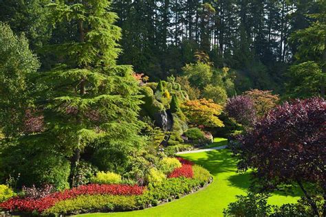 Trees For The Garden Australia At Adam Miller Blog