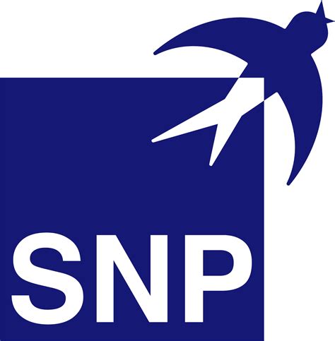 Snp Glue Reviews Ratings And Features 2025 Gartner Peer Insights