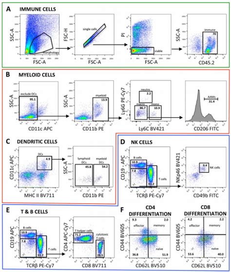 小优博士多色实验案例 11： 两个多色panel分析小鼠乳腺中的先天性和适应性免疫细胞