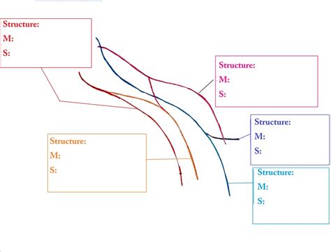 Brachial Plexus Arm Diagram Quizlet
