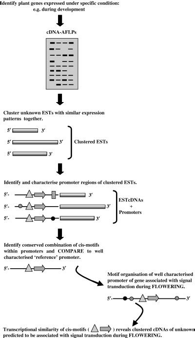 Simplified Representation Of Integrating High Throughput Gene