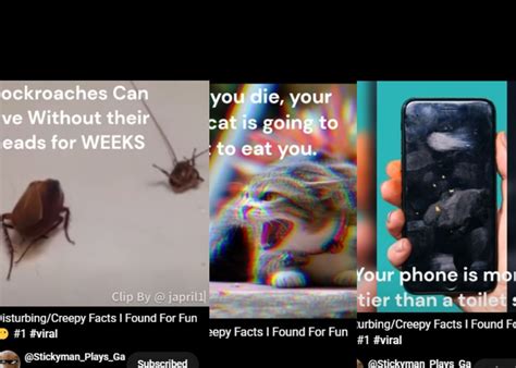 Viral Youtube Short Cockroch Can Live Without A Head For