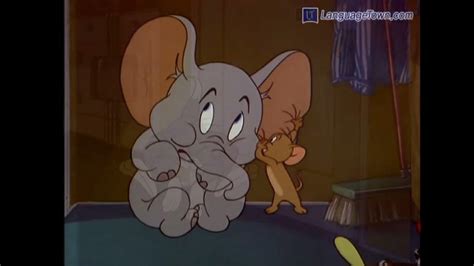 톰 Vs제리 와 코끼 Youtube