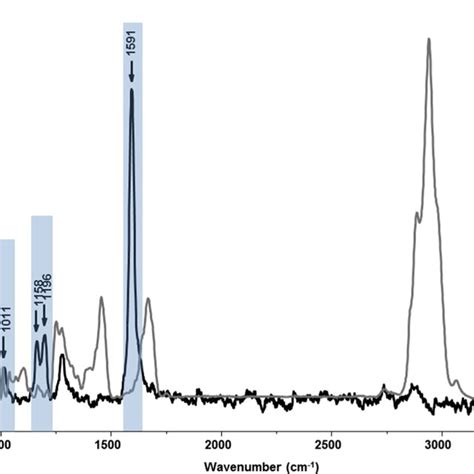 Spectral Comparison Between Skin Reference Spectrum Full Grey Line