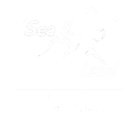 Tour A Isla Coronado Loreto Baja California Sur Loreto Sea And Land