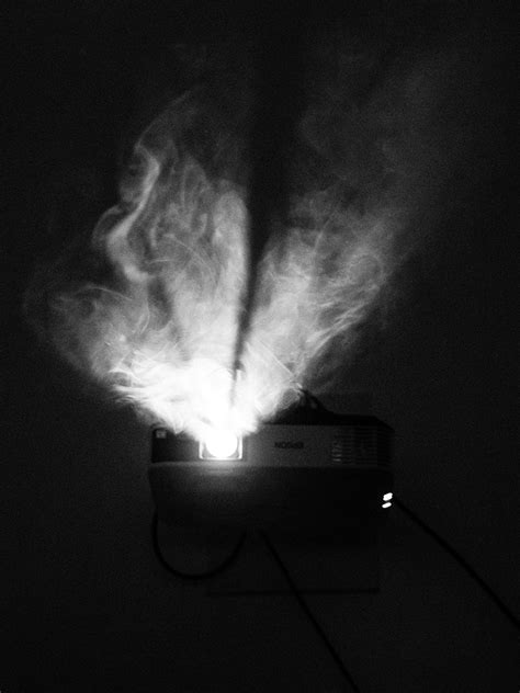 Nicolas Sassoon Wingshorns