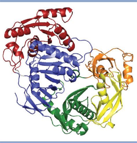 figure 1 from proteins structure o function o bioinformatics casp8
