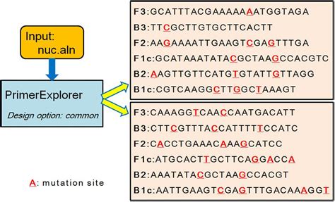 Frontiers Glapd Whole Genome Based Lamp Primer Design For A Set Of Target Genomes