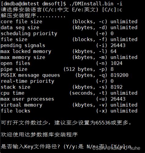 达梦数据库命令行安装 命令行安装达梦数据库 csdn博客