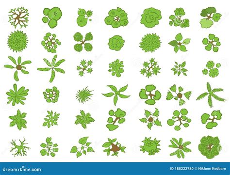 Trees Top View For Landscape Vector Illustration Stock Vector