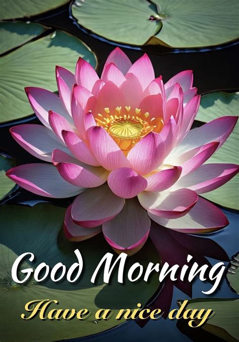 Épinglé Par Sandaru Sur Quick Saves Épinglé Par Sandaru Sur Quick Saves