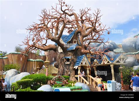 Dale Trees Instagram Twitter And Facebook On Idcrawl