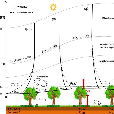 Schematic Overview Of The Coupled Landvegetation Atmospheric System