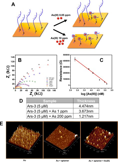 Electrochemical Performance And The Aptamer Behavior On The Electrode