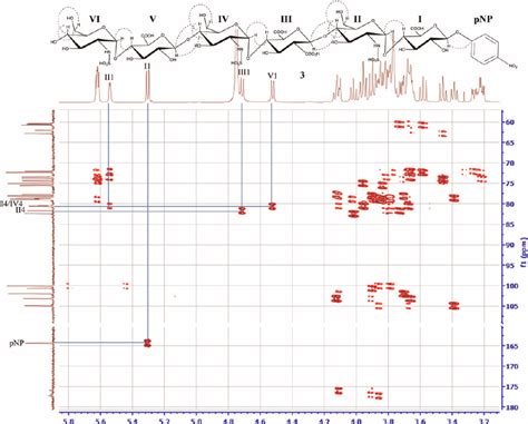 1 H 13 C Hmbc Key Correlations Of Construct 3 2d 1 H 13 C Hmbc Download Scientific
