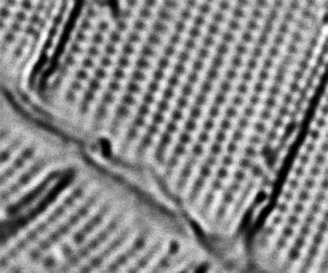Microscopy Resolution Comparison Between Visible And Uv Light Jmc