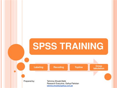 Pdf Spss Training Data Management And Data Labeling