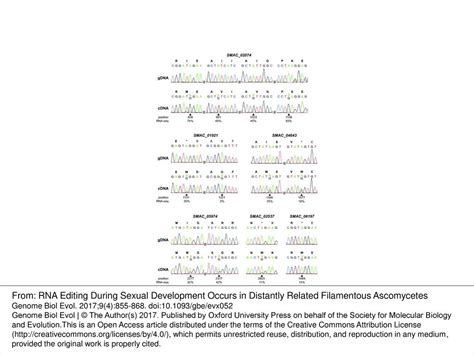 Fig 4 — Analysis Of Putative Rna Editing Events In P Confluens Ppt Download