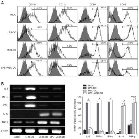 Regulatory Dendritic Cells Induced By Mesenchymal Stem Cells Ameliorate Dextran Sodium Sulfate