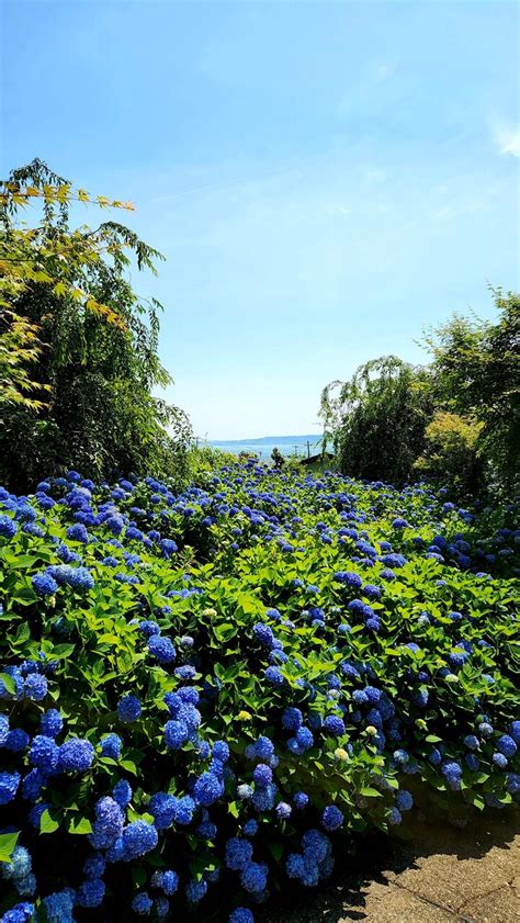秋田県【雲昌寺・男鹿】 青葉のみちのく1人旅記録
