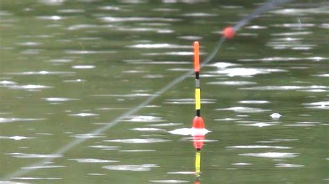 НЕ ОЖИДАЛ ЧТО БУДЕТ ТАКОЙ КЛЁВ КАРАСЬ НА ПОПЛАВОК Youtube