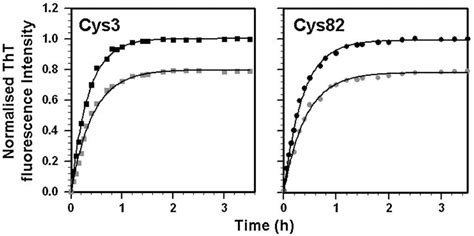Tht Monitored Kinetics Of Amyloid Protofibril Formation By Different Download Scientific