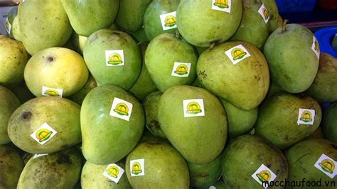 Xoài Yên Châu Xoài Mộc Châu Đặc Sản Mộc Châu