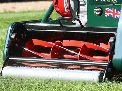 How Do Petrol Lawn Mowers Work? - The Turf Doctor