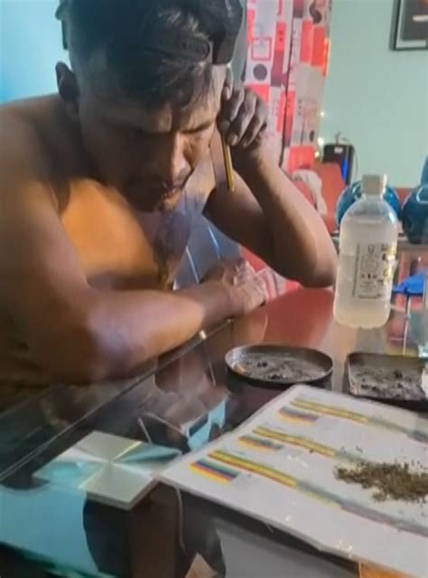 Mexican Fag Sucks And Fucks Jackal Cock