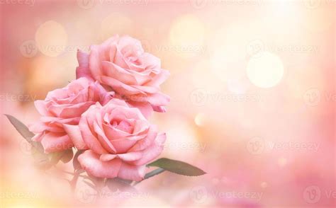 Pink Rose Flowers On Bokeh Light Glitter Background For Love Wedding And Valentines Day With