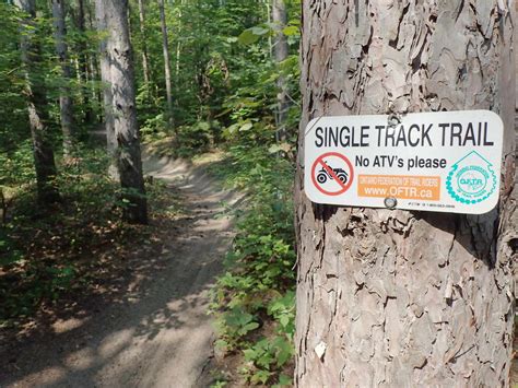 Limerick Forest Mtb Trail Ontario Bike Trails