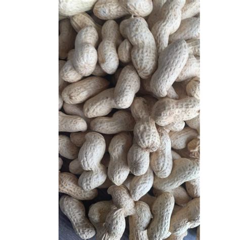 Peanut In Shell Gulfood 2026