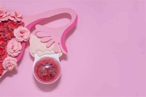 Inflamación En Los Ovarios Causas Síntomas Y Tratamiento