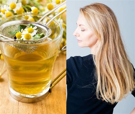 Chamomile Tea Hair Lightening Recipe At Zoe Walker Blog