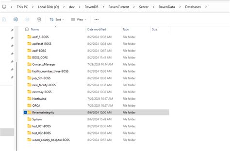 Nosql After Ravendb Upgrade The Server Cant See My Databases