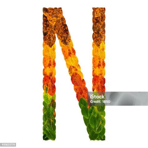 가 단풍 밝은 편지 N 자연 잎 흰색 배경에 고립 생활 멀티 레이어 알파벳 문자 글꼴의 다채로운 문자입니다 장식 디자인 비문 요소 자연입니다 0명에 대한 스톡 사진 및 기타